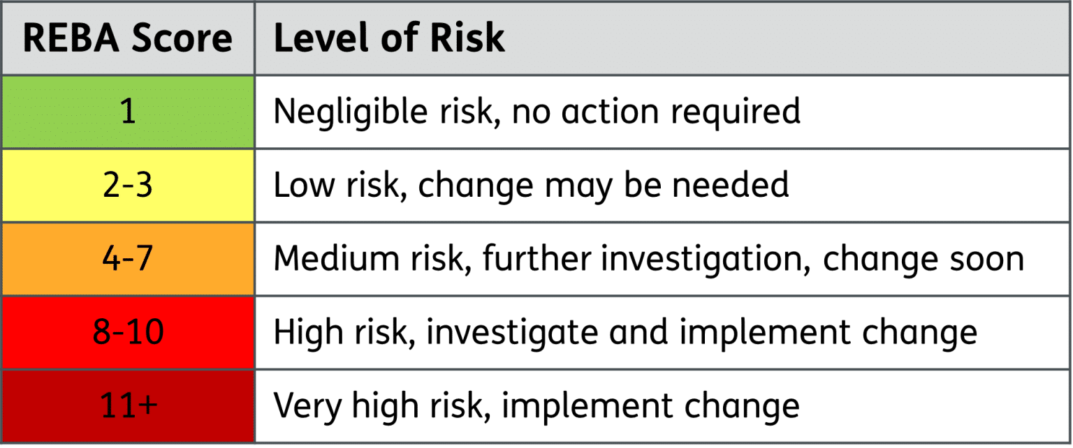 An Ergonomic Comparison of the Raizer Chair vs Mangar Cushions from ...