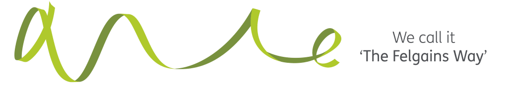 Mobility Division - Felgains