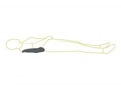 LEJRELET Oval Bed Positioning Cushion - Felgains