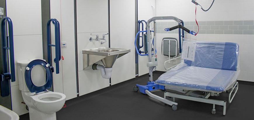 Robin Overhead Ceiling Track Hoist - Felgains